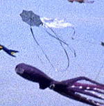 JASON GLASSER - Les Instants Chavirés